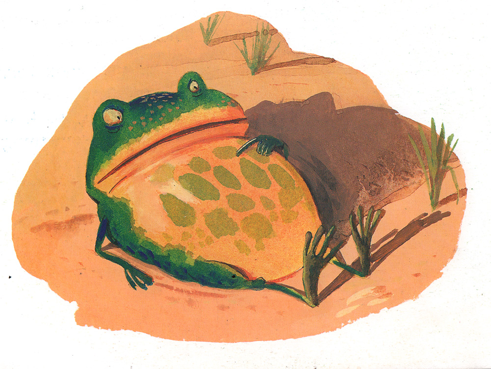 Craig Smith - Freelance illustrator | Craig Smith